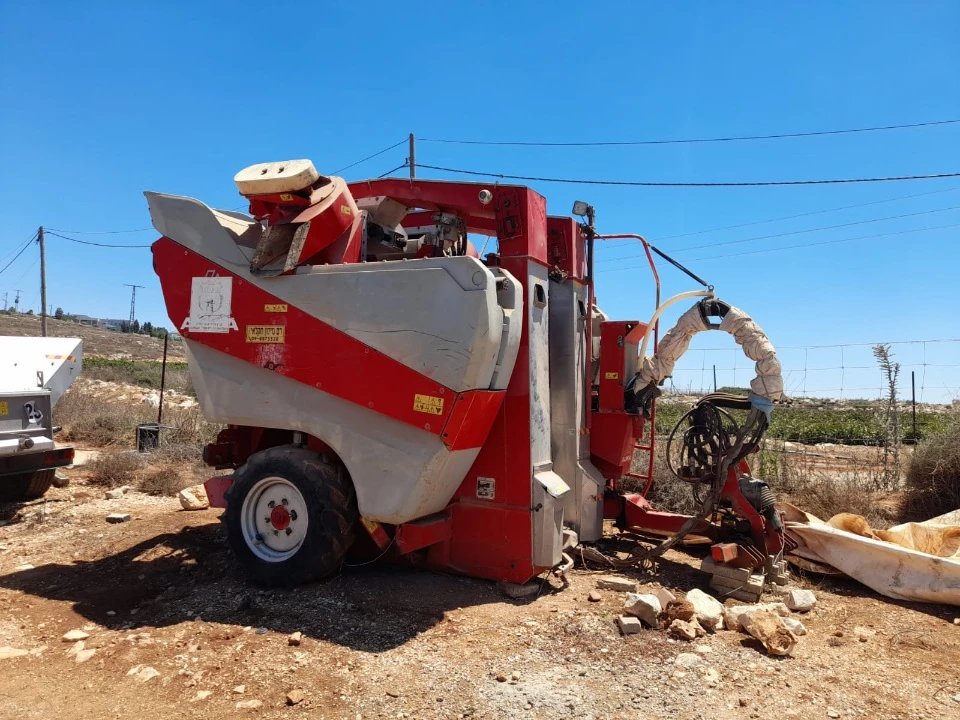 בוצרת תוצרת אלמה